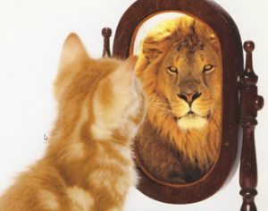 leeuw kat spiegel identiteit - GoedBericht